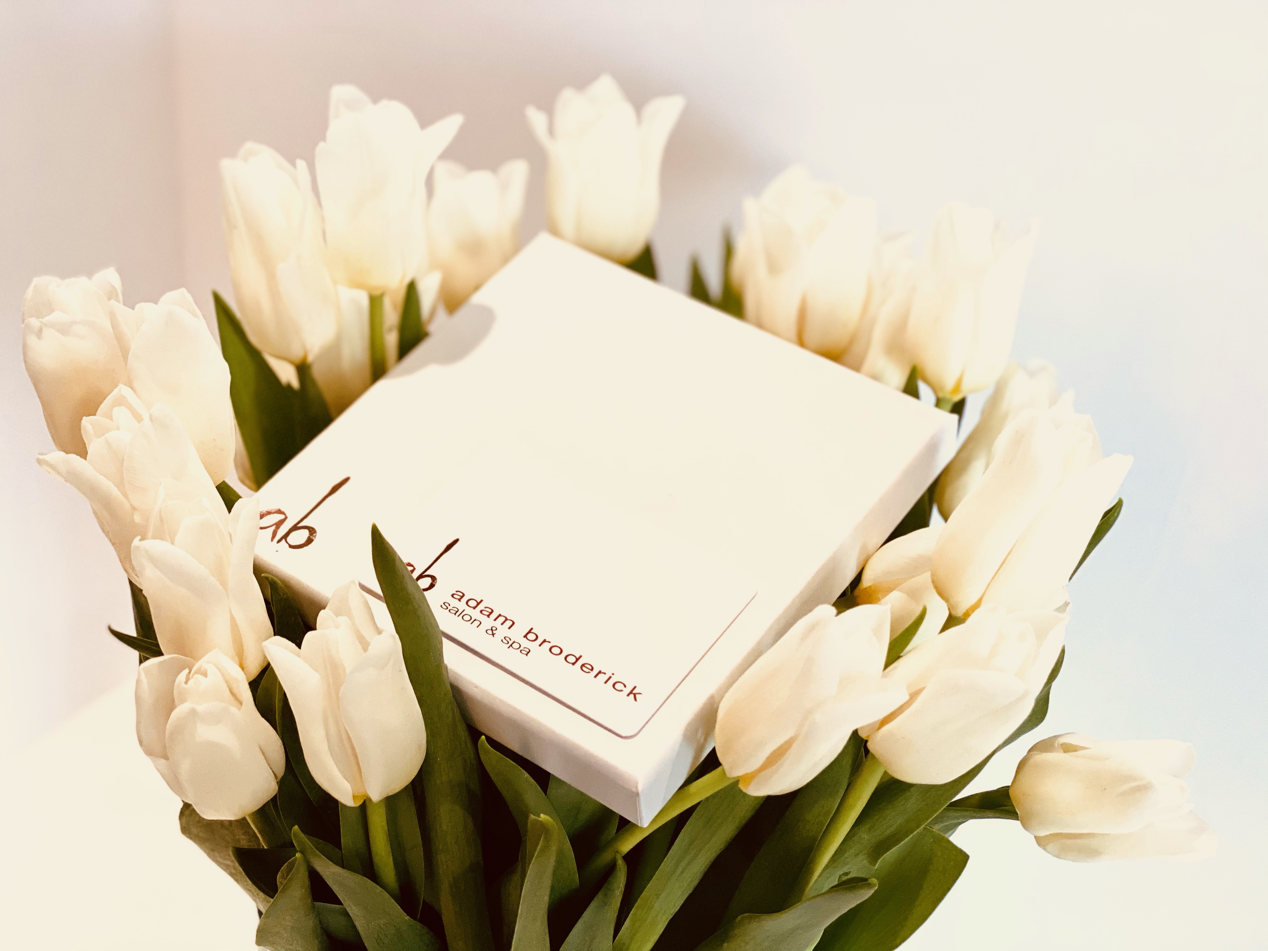 Ab Shopping | adam broderick salon & spa