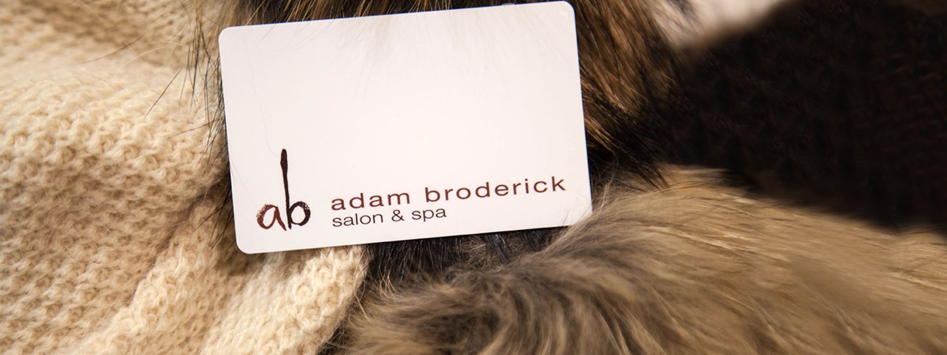 salon · spa · boutique | adam broderick salon & spa